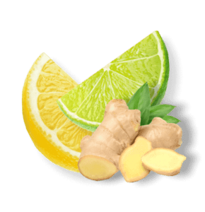 Waterloo Flavors | Sparkling Water Flavors | New & Limited Time