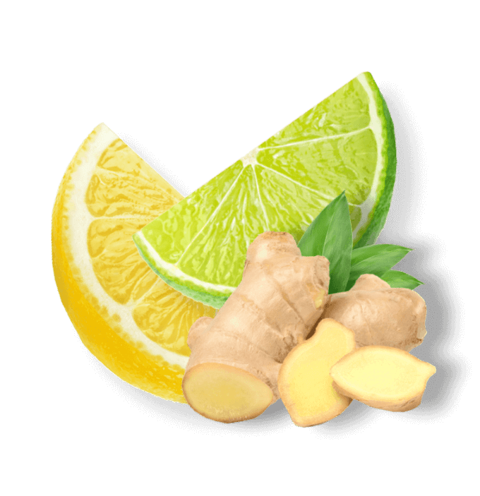 Waterloo Flavors | Sparkling Water Flavors | New & Limited Time