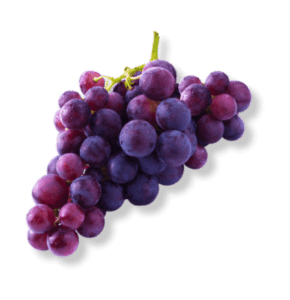 Waterloo Flavors | Sparkling Water Flavors | New & Limited Time