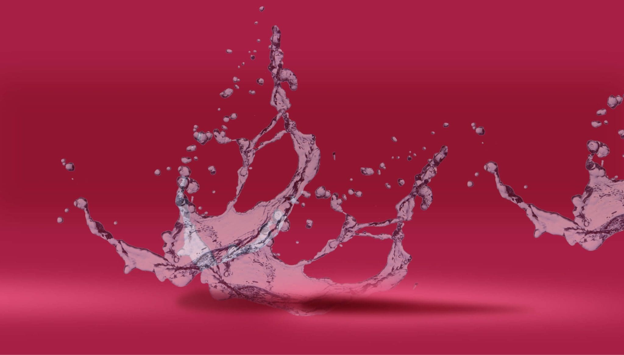 Waterloo Sparkling Water | Water Down Nothing