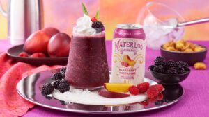 Raspberry Nectarine Dream - Waterloo Sparkling Water