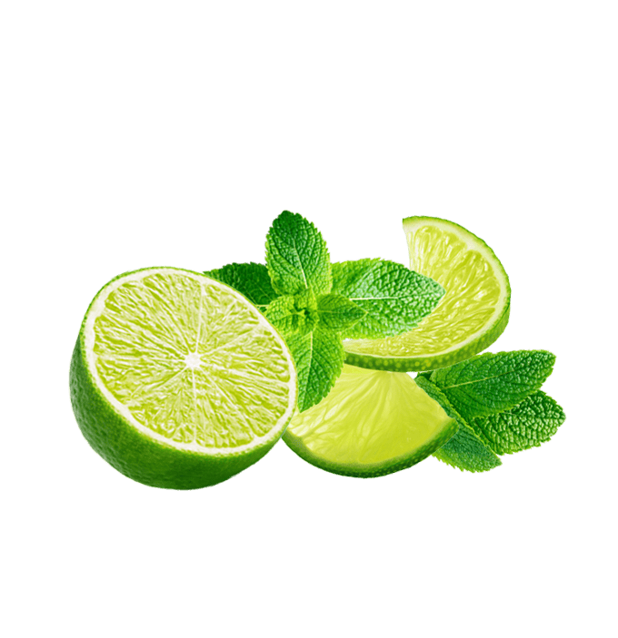 Waterloo Flavors | Sparkling Water Flavors | New & Limited Time