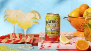 Lemon Italian Ice - Waterloo Sparkling Water